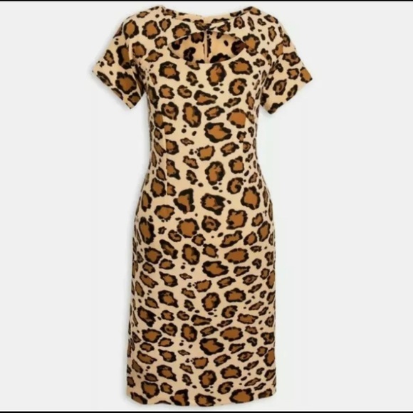 Disney | Dresses | 22 Disney Parks The Dress Shop Leopard Print Dress ...